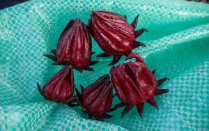 What Exactly is Bissap??? - Demand Africa