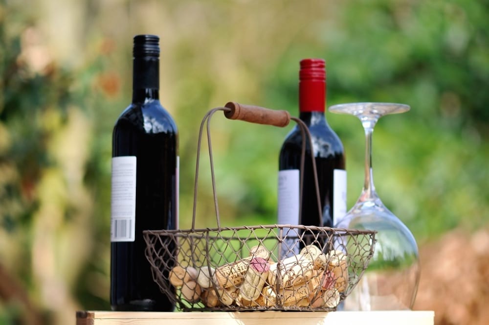 South African Wine Tasting: A Guide to the Wine Lands - Demand Africa