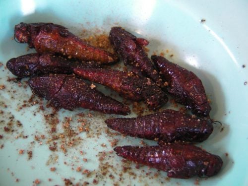 Nice And Juicy! 15 Edible African Bugs - Demand Africa