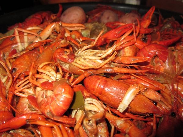 Exploring Louisiana’s Cajun Food Culture - Demand Africa