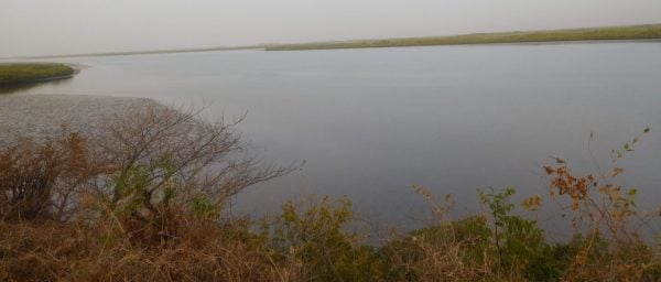 15 Facts You Might Not Know About Senegal - Demand Africa